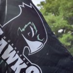 Aktiver Spieler oder passives Mitglied: WE DEM HAWKS